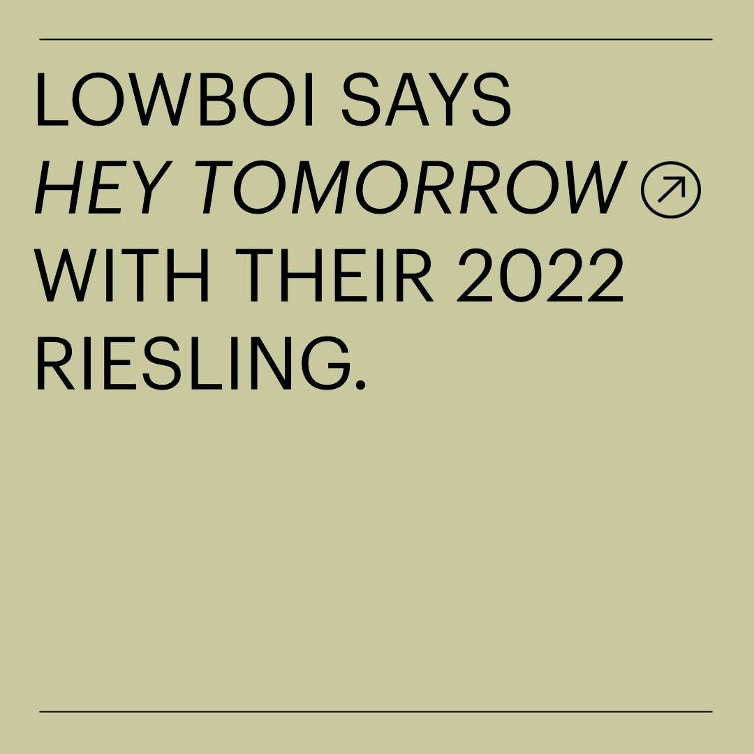 Premium Wine in a Box Australia – Hey Tomorrow